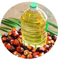 Pandi Devi Oil Private Limited